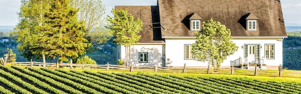 How to buy a farm: A beginner’s guide | Rocket Homes