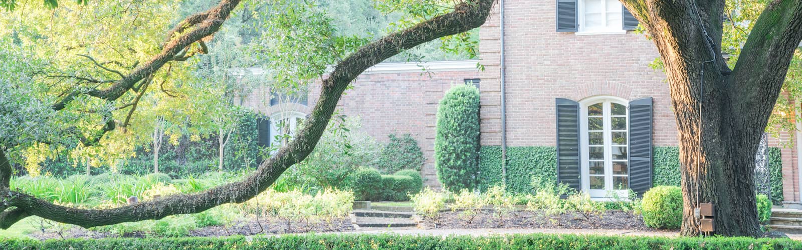 Tree Law: Common Rules And FAQs | Rocket Homes